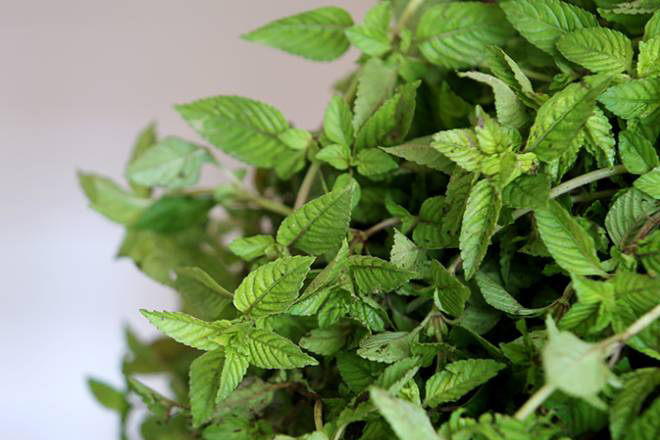 Cách làm thạch đen thơm ngon hấp dẫn