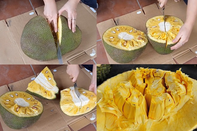 Cách làm mít chín nhanh và mẹo nhận biết mít chín cây đơn giản nhất