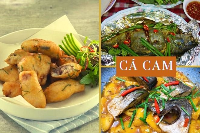 Cá cam làm món gì ngon? Top 9 gợi ý hấp dẫn cho bạn