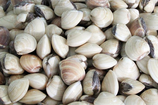 Ăn canh ngao có tác dụng gì? Các lưu ý khi ăn ngao