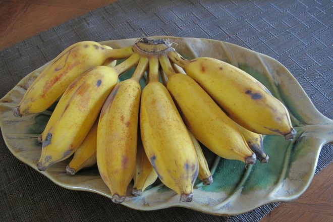 Chuối sứ có tác dụng gì? Những món ăn ngon, thức uống từ chuối sứ tốt ...