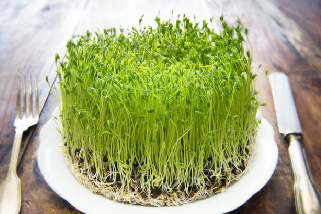 Top 9 loại rau salad trộn được mệnh danh là “siêu thực phẩm” luôn được ...